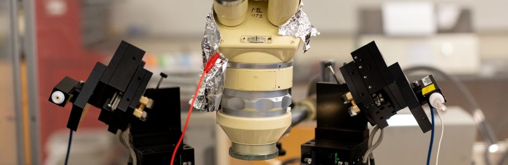 Why Practical Summer Courses In Neuroscience Matter | The Transmitter | Marine Biological Laboratory